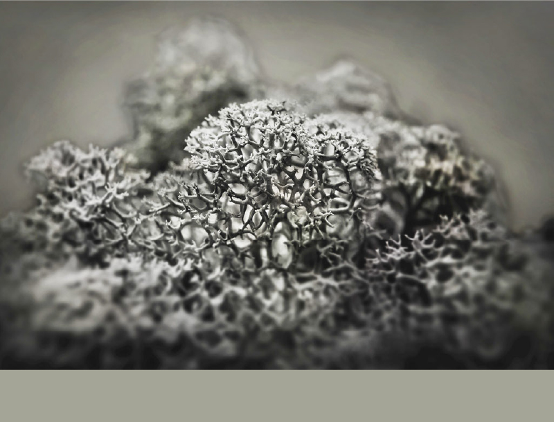 HYDRA - Materials inc