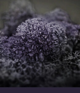 HYDRA - Materials inc