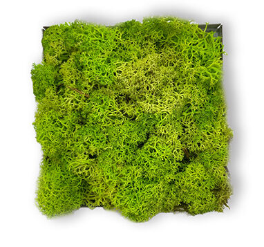 HYDRA - Materials inc