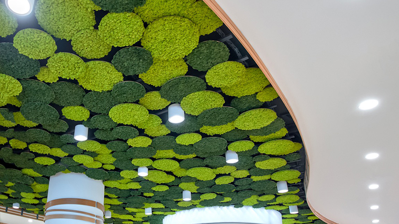 HYDRA - Materials inc