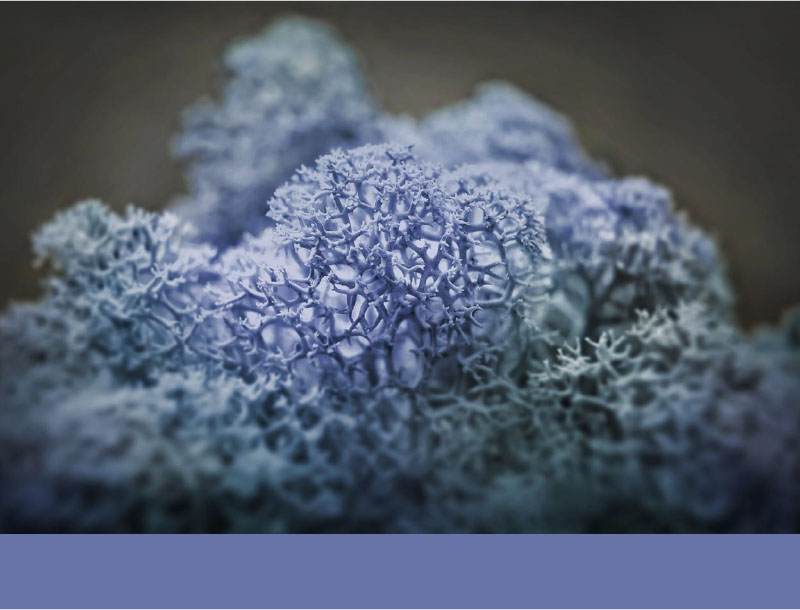 HYDRA - Materials inc