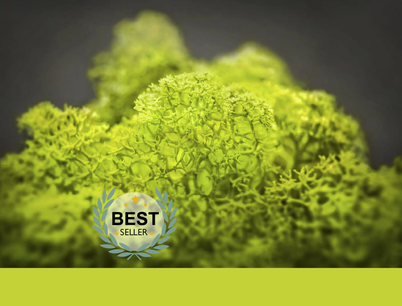 HYDRA - Materials inc