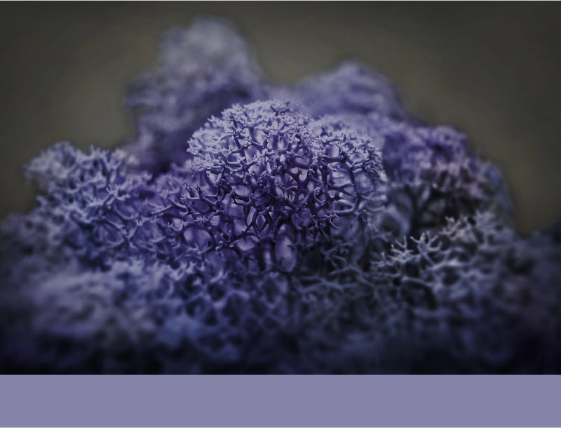 HYDRA - Materials inc